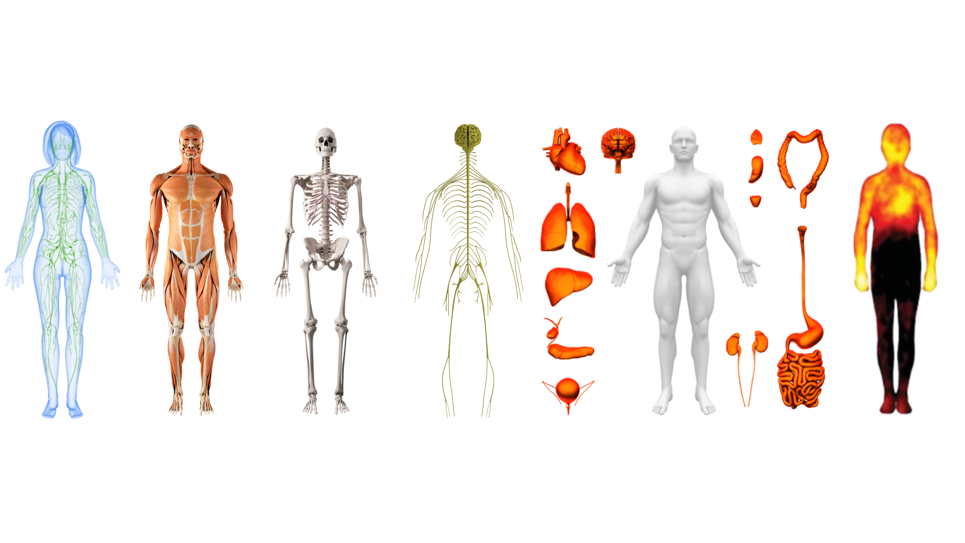 Tim Boettner | Think Flow Grow | Holistic Health & Fitness EN