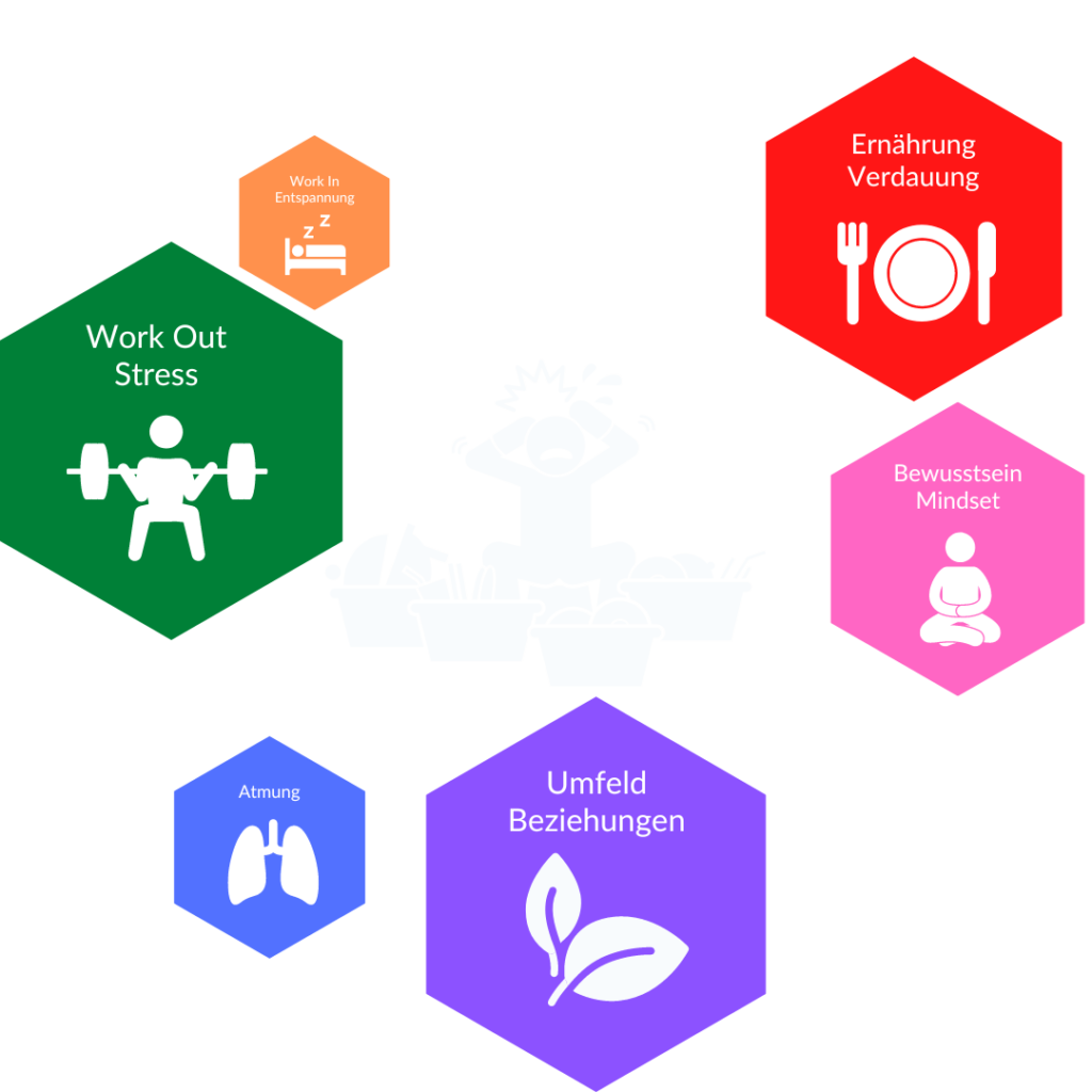 Tim Boettner | Think Flow Grow | Holistic Health & Fitness EN