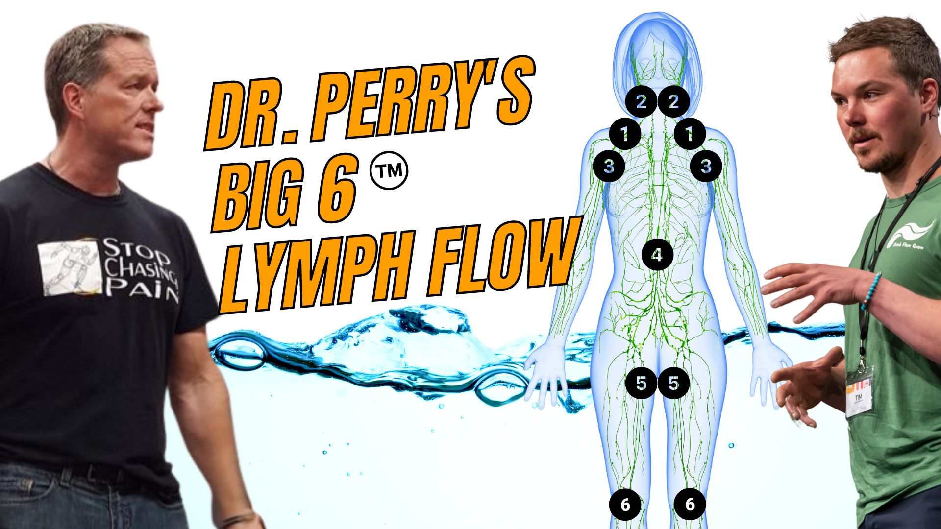 Lymphsystem verstehen mit Dr. Perry Nickelston | Think Flow Grow